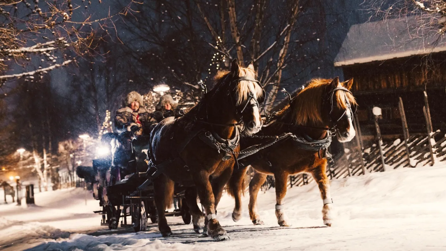 Horse-drawn sleigh ride | SkiGeilo